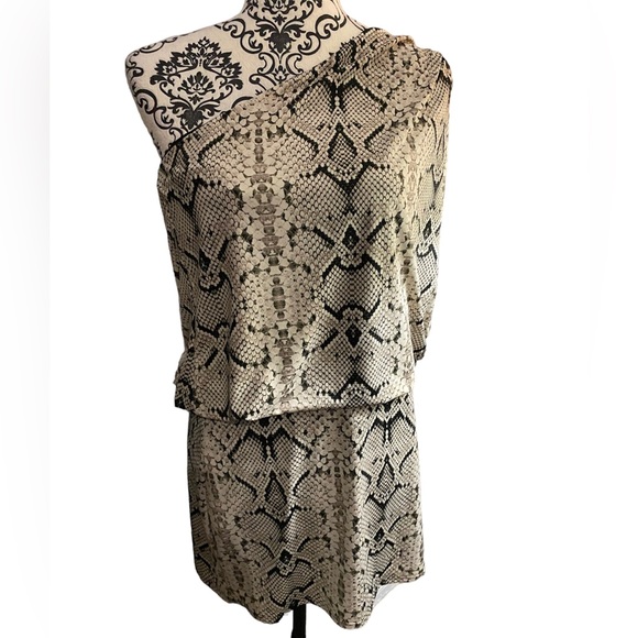 Jessica Simpson | Dresses | Jessica Simpson Snake Skin Shirtdress ...